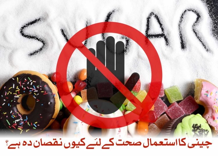 چاکسو پیڑ اور اسکے فائدے (chasku seeds) - tibbohikmat.com